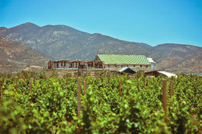 Baja California winery makes Mexico's first certified organic wine