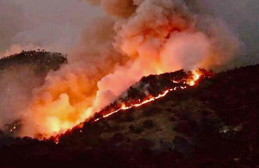 Oaxaca seeks emergency declaration to get help fighting 14 fires