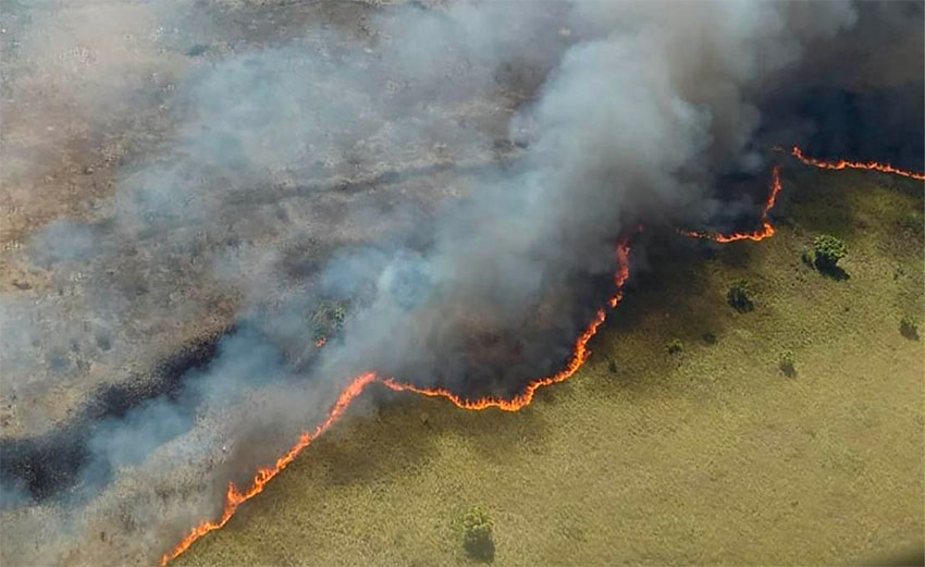 Quintana Roo wildfire has burned 2,500 hectares of biosphere reserve