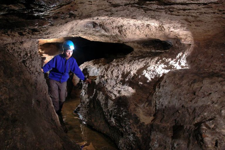 Guadalajara’s Cold Dunk Cave is home to thousands of tequila bats