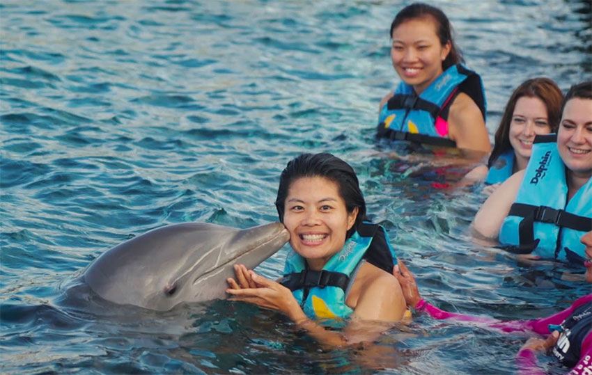 Dolphin Discovery to build new park in Cancún, its 24th