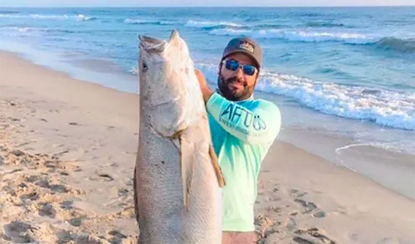 Baja fisherman potentially beats world record with 39-kilo sea bass