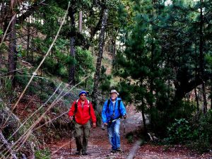 The Mazati Project: the biggest private wildlife reserve in Mexico
