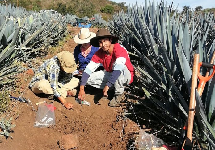 Was one of the world's longest-lasting obsidian workshops in Jalisco?