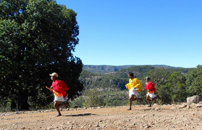 Meeting the Tarahumara inspired book on 'weird' history of exercise