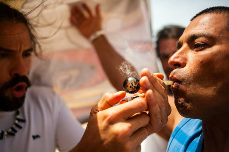 Sonora's traditional toad medicine 'removes the madness from your mind'