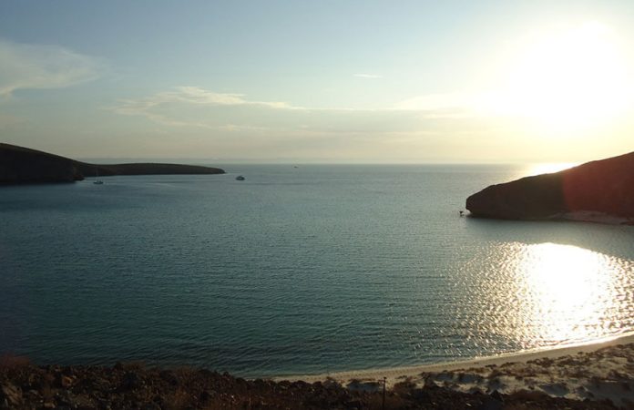 Proposal for new cruise ship wharf stirs opposition in La Paz