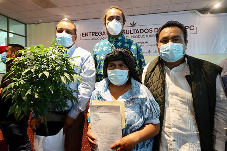 Grow permits for indigenous towns jump-start Oaxaca cannabis industry