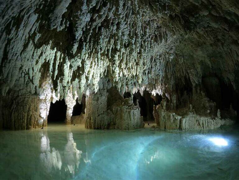 Cenotes: unique biospheres under threat in the Yucatán