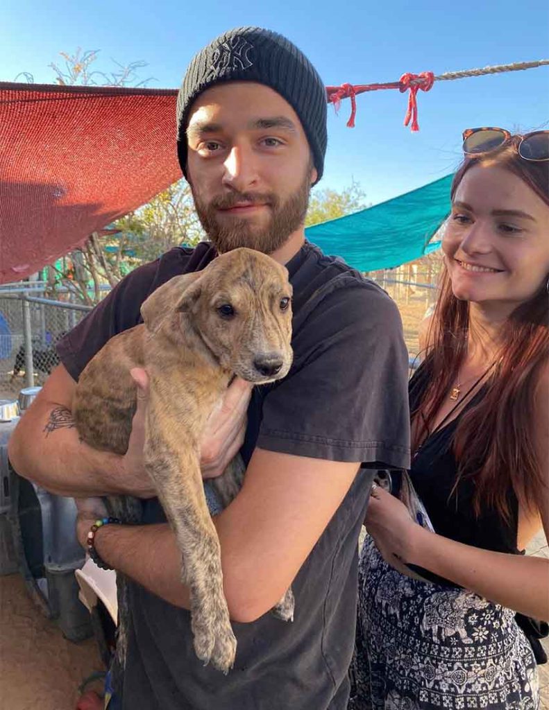 Expats work to stem Mexico's never-ending tide of unwanted pets