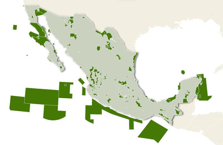 Mexico in Numbers: Protecting Mexico's rich natural heritage