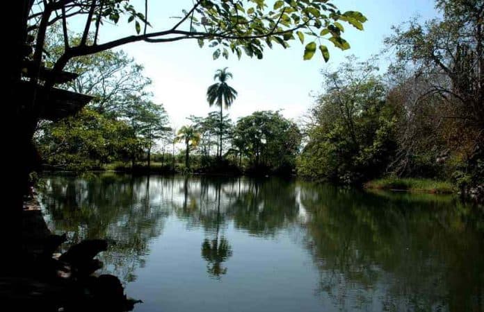 Jalisco: a showcase for Mexico’s wide biodiversity