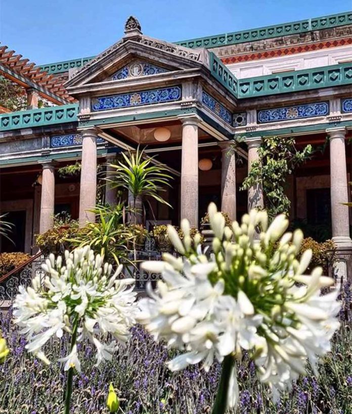 Antonieta Rivas Mercado's cultural patronage changed Mexico