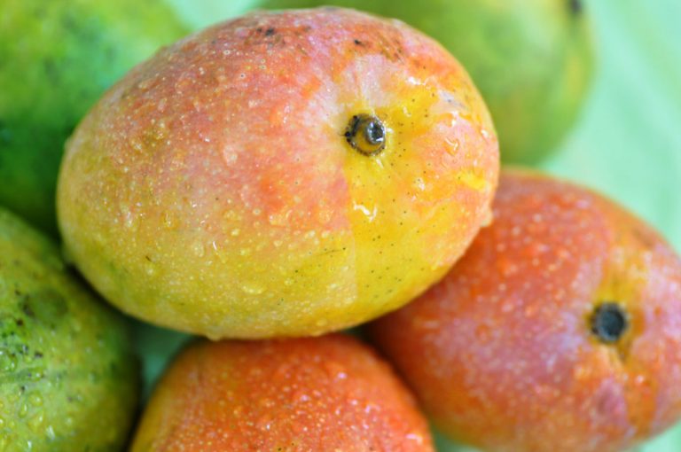 'Mango mágico': How the fruit became part of Mexican cuisine