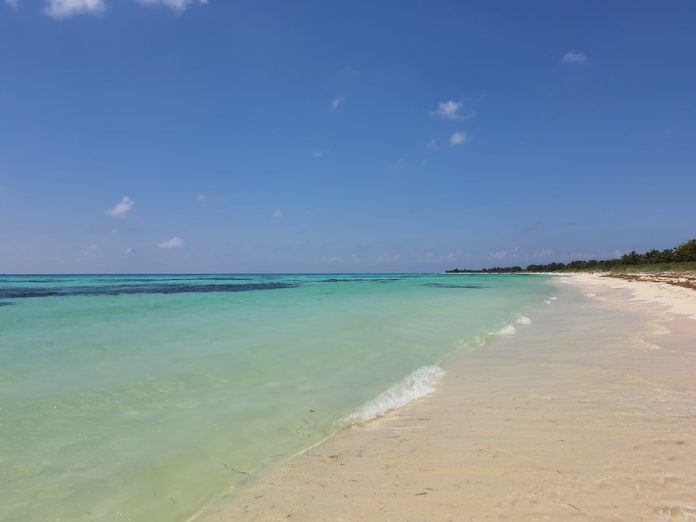 Visiting Cozumel? Don't miss the natural wonders of Punta Sur Park