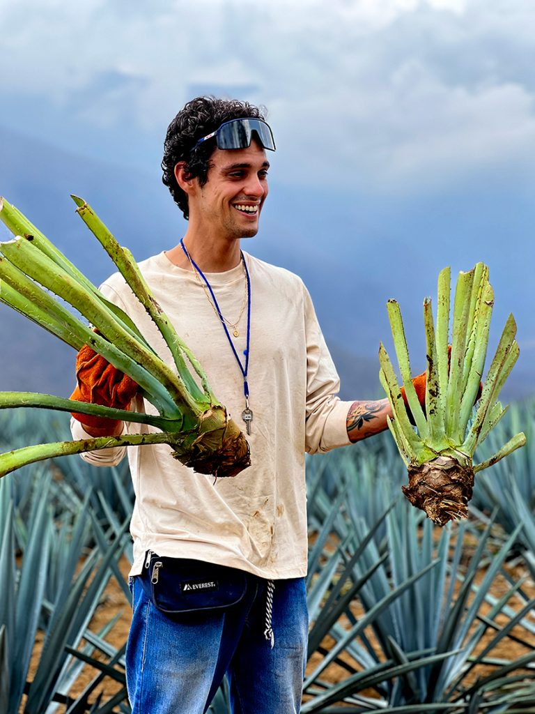 The Agave Rewilding Project: 'It's time we gave something back'