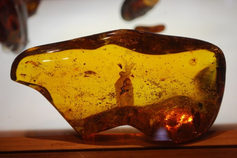 From magic to market: amber's role in centuries of Chiapas' culture