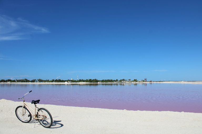Las Coloradas pink pools: A salt company's sustainable initiative