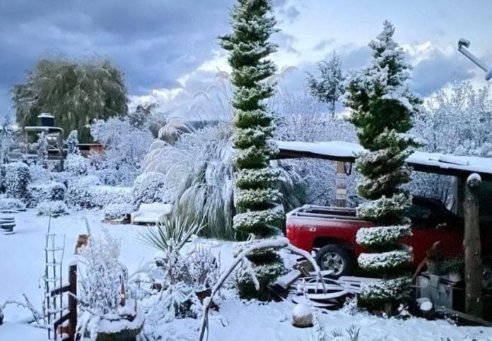 First winter storm of the season brings snow to northern Mexico