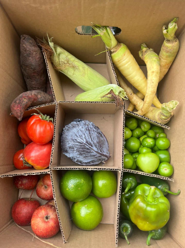 We know them as floating gardens, but what is a chinampa, really?