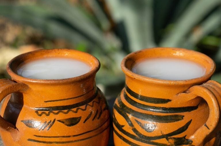 The renaissance of pulque, Mexico’s 'white gold' ancestral drink