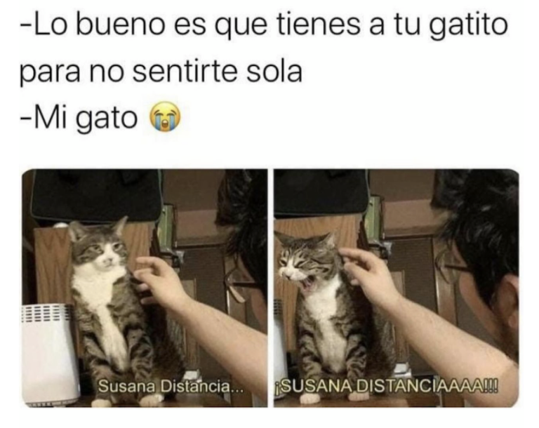 Bilingual laughs: The best Mexican memes of the week - Mexico News Daily