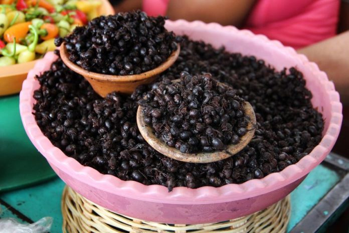 The most unusual Mexican food
