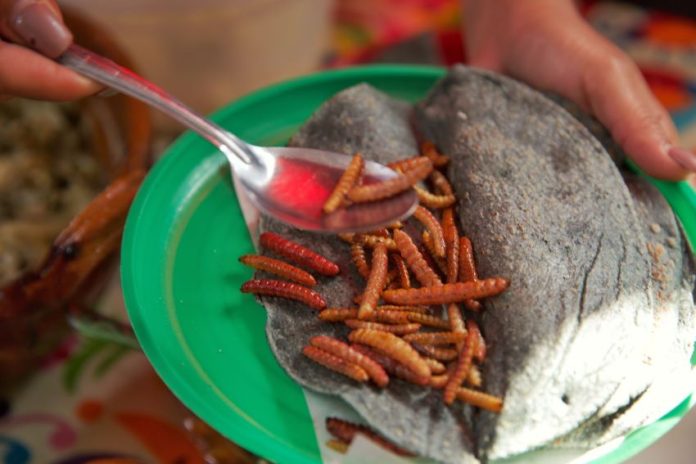 The most unusual Mexican food