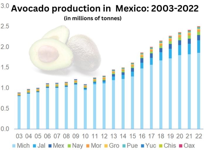 Avocado farming in Mexico has nearly tripled in 40 years