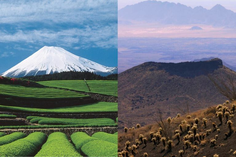 Japan vs Mexico in Numbers