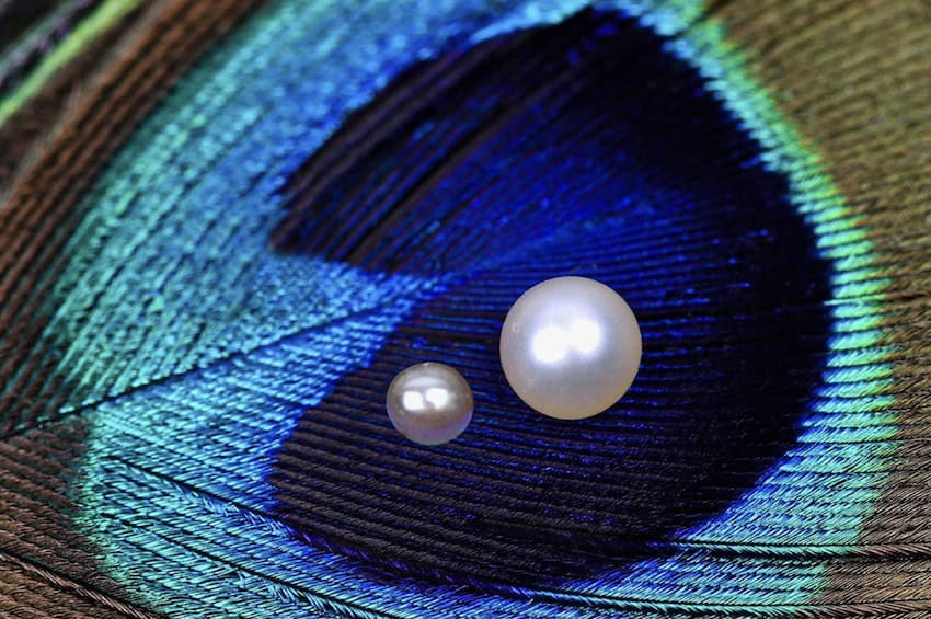 How a Cozumel pearl farm is producing unqieu treasures