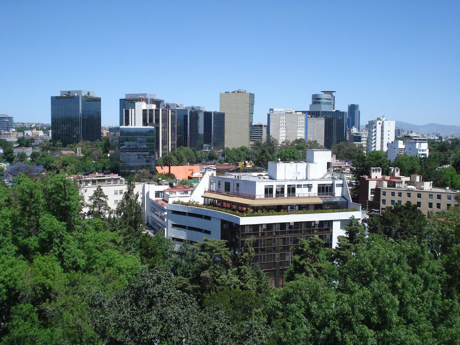 The complete guide to Mexico City alcaldías and what to see