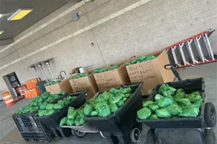 US Border Patrol reports 2 record drug seizures from Mexico