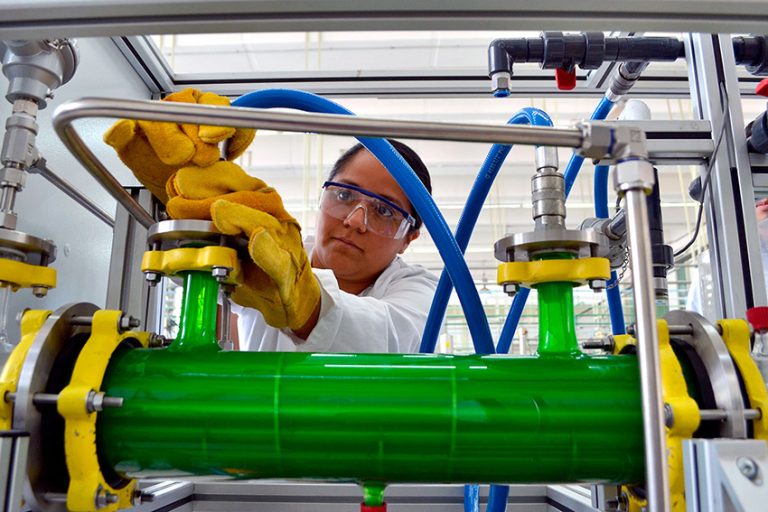 How Mexico’s 'Dolphin Program' is inspiring scientists from around the ...