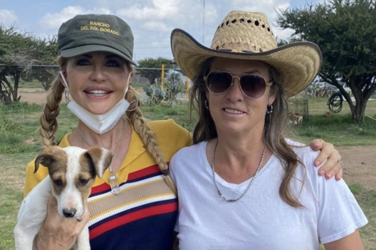 Yo Animalitos SMA volunteers: Saving the city, one dog at a time