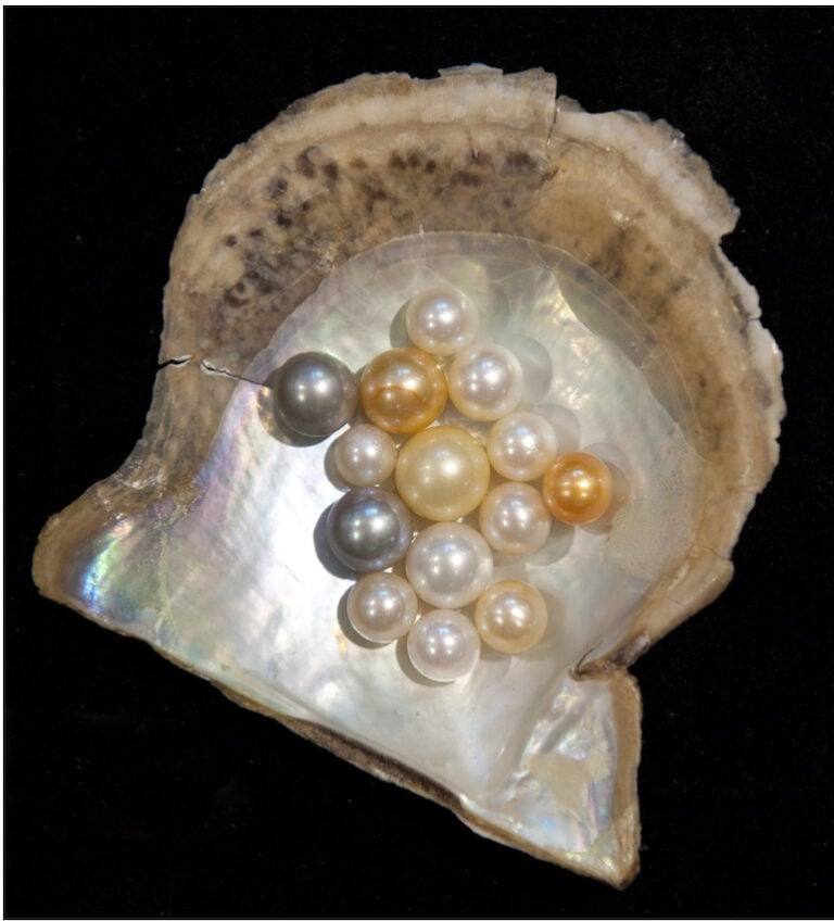 Pearls in La Paz have been famous for almost 500 years