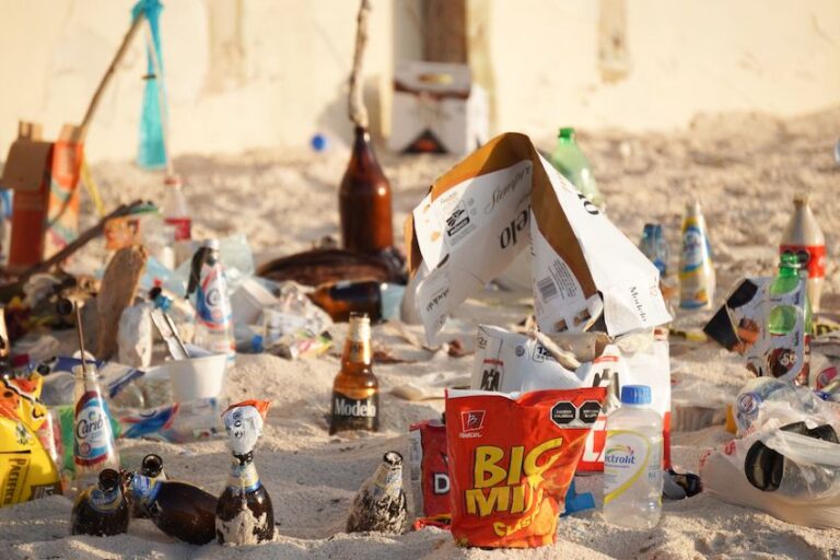 Los Cabos news: Garbage, taxes and fiestas