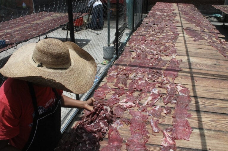 Morelos y Cecina de Yecapixtla - El Despertar