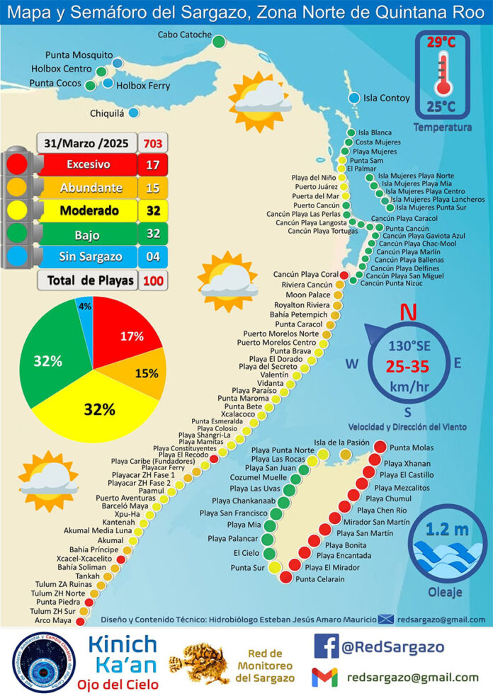 Riviera Maya sees increase in sargassum seaweed on beaches