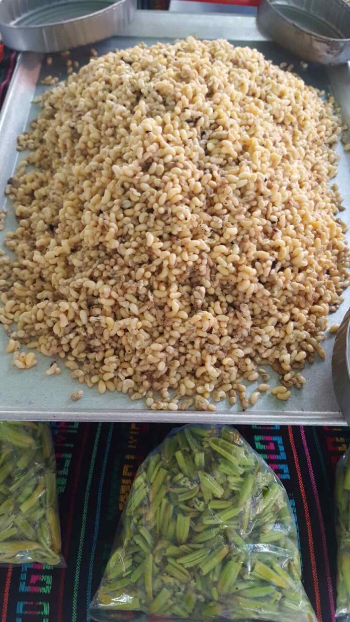 Taste of Mexico: Escamoles