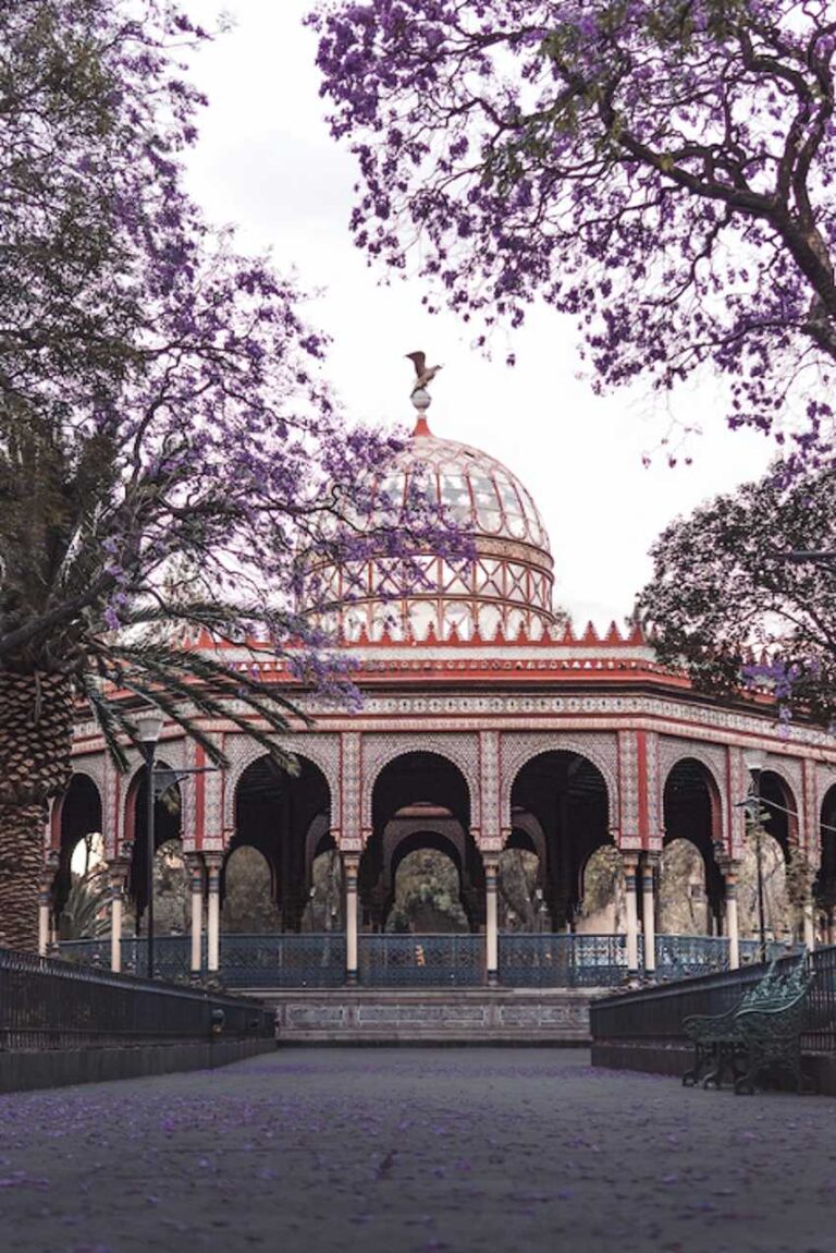 Find CDMX's beautiful gardens — oases in a smoggy metropolis