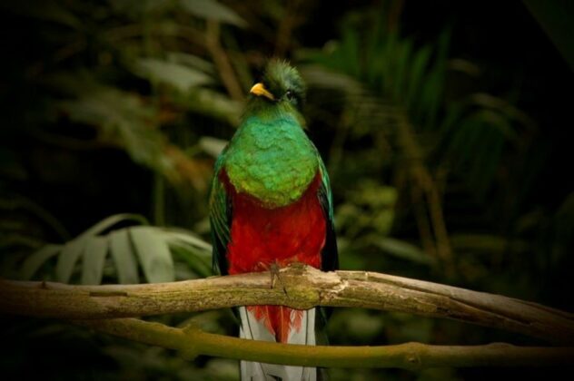Colors of Mexico: A Journey of Vivid Hues - Mexico News Daily