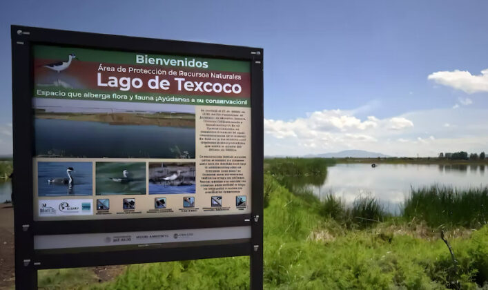 Lake Texcoco recovery continues with 4,000 hectares underwater