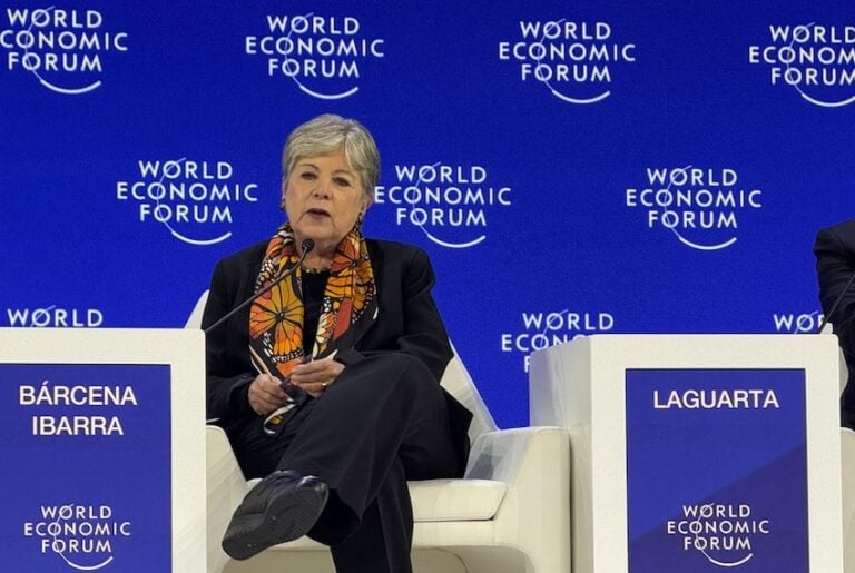 At Davos, Mexico's environment minister stresses urgent climate action