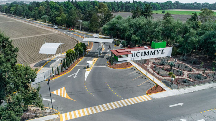 US invests $40M in Mexico's agricultural research center CIMMYT