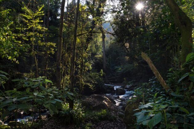 Protecting an endangered cloud forest on the edge of Mexico City ...