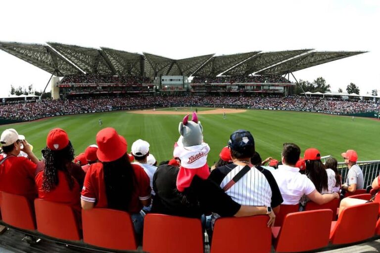 Made in Mexico: From baseball to béisbol - Mexico News Daily