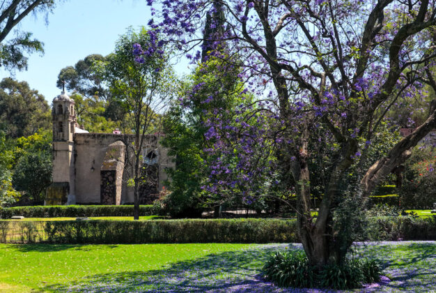 Mexico's largest collection of Frida Kahlo works reopens to the public