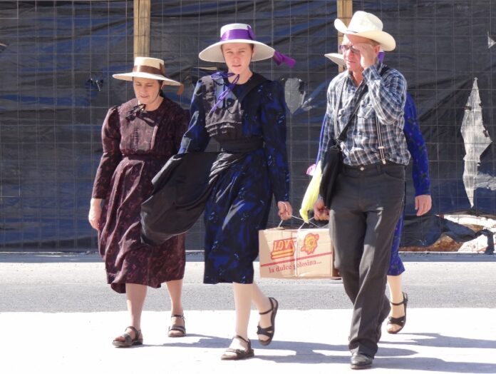 'Destructive agriculture': Mennonite deforestation in Mexico