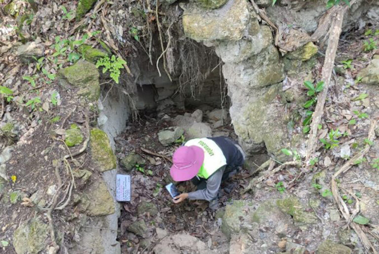 Archaeology News Report: Sprawling ancient Maya settlement discovered ...